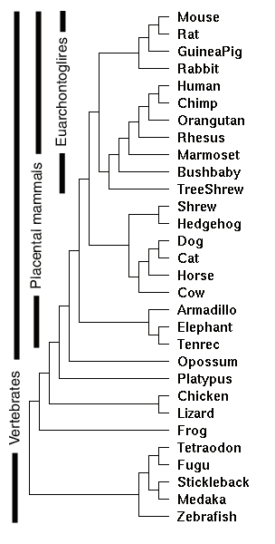 Multiz Alignments Multiz Align Track Settings